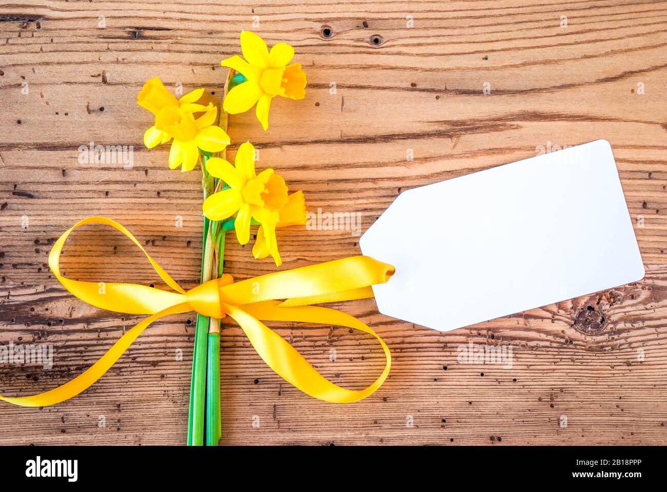 Yellow Narcissus Flower, Label With Copy Space Stock Photo - Alamy