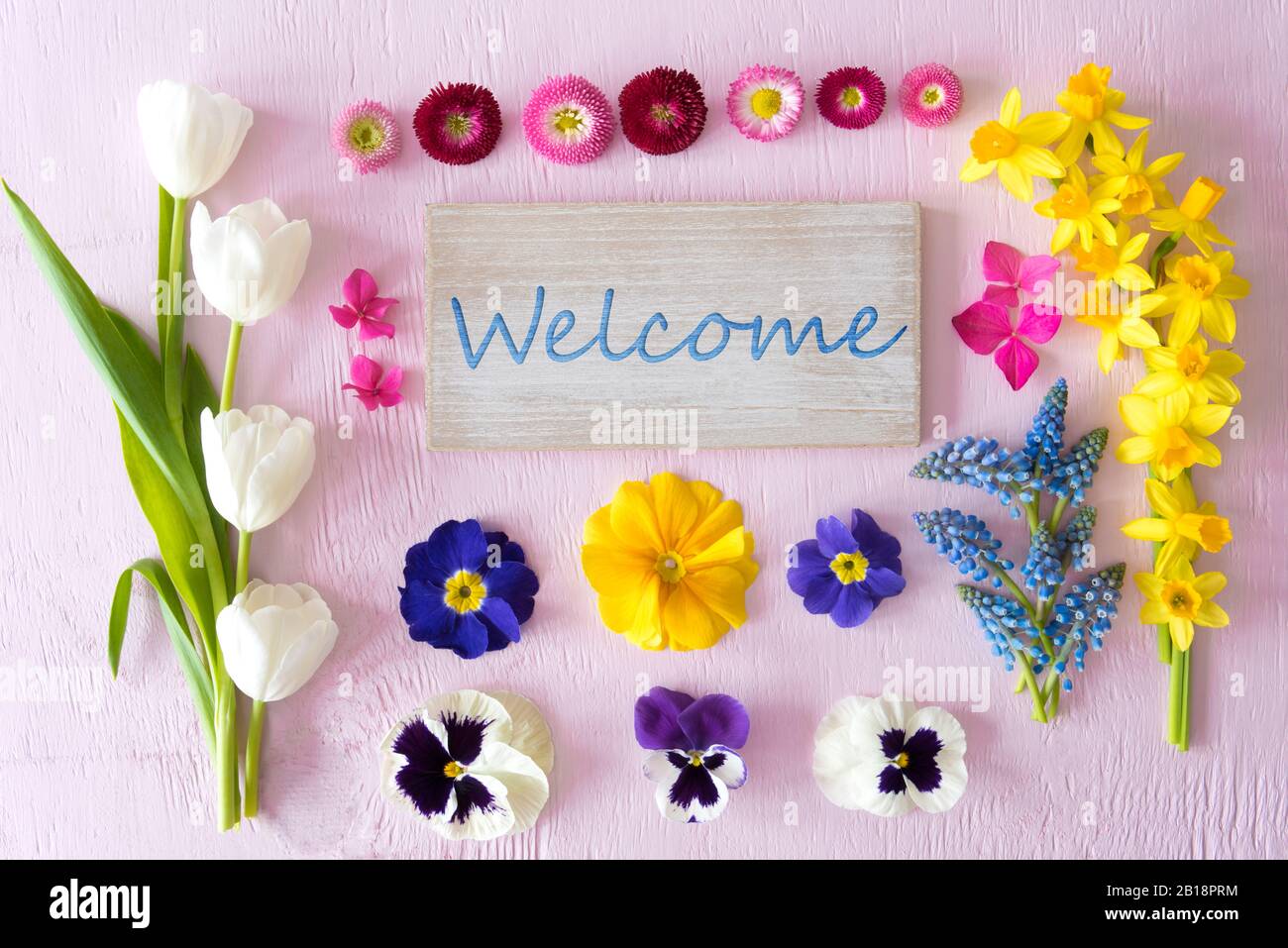 Flat Lay With Spring Flower Blossoms, Sign, Text Welcome Stock Photo ...