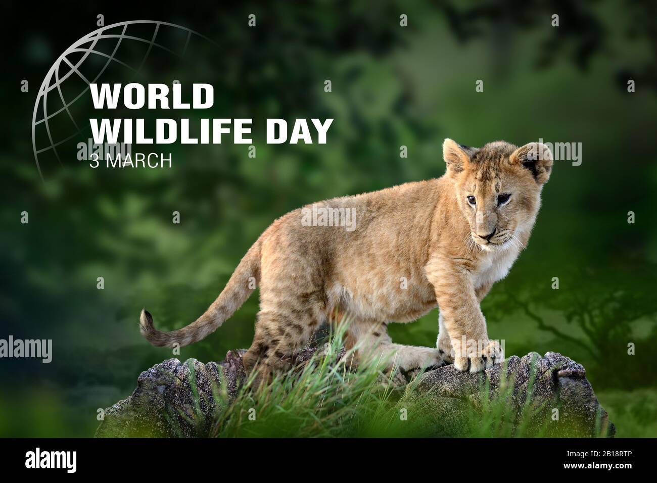World environment day text banner hi-res stock photography and images ...