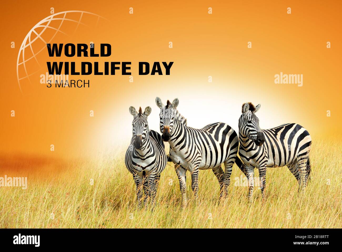 World Wildlife Day. Text on zebra background. March 3 Stock Photo - Alamy