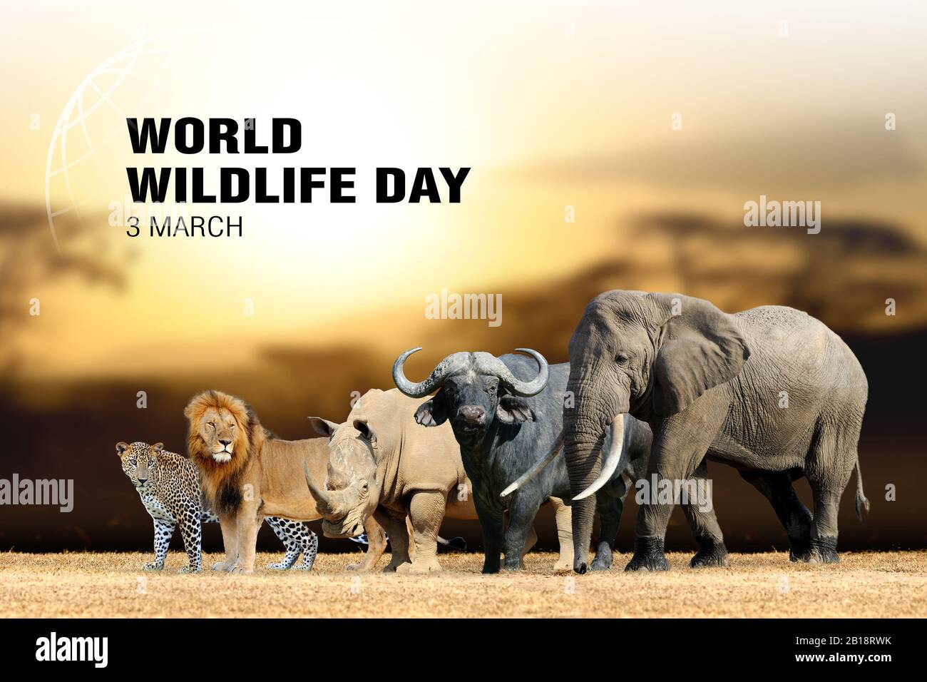 Wildlife world hi-res stock photography and images - Alamy