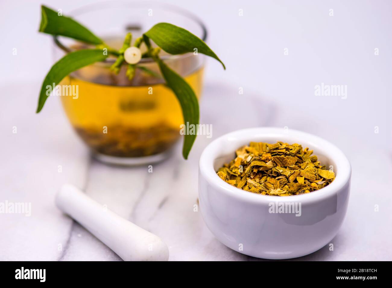 Mistletoe, tea with mortar and frehs and dried mistletoe drug Stock ...