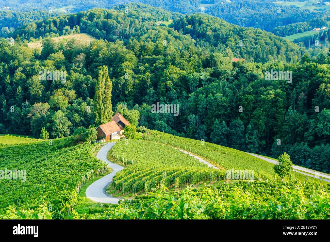 Famous Heart shaped wine road in Slovenia Stock Photo - Alamy