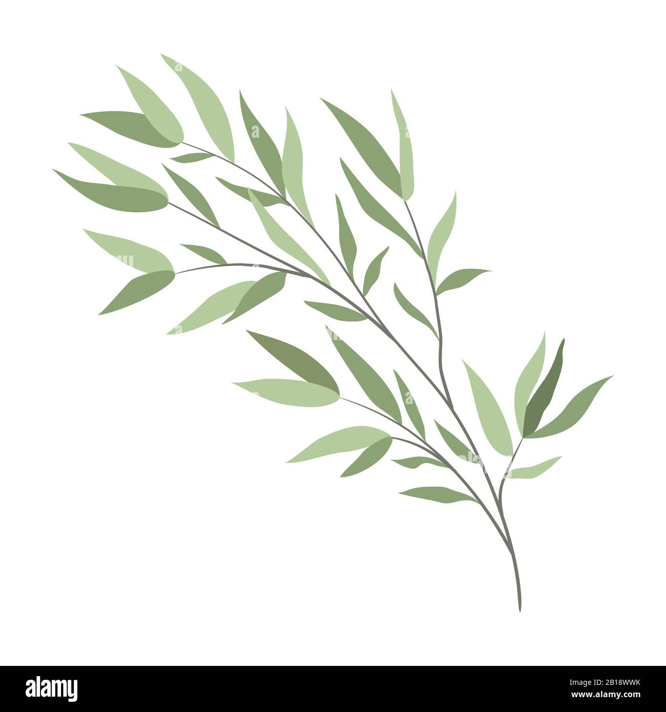 Willow illustration Stock Vector Images - Alamy