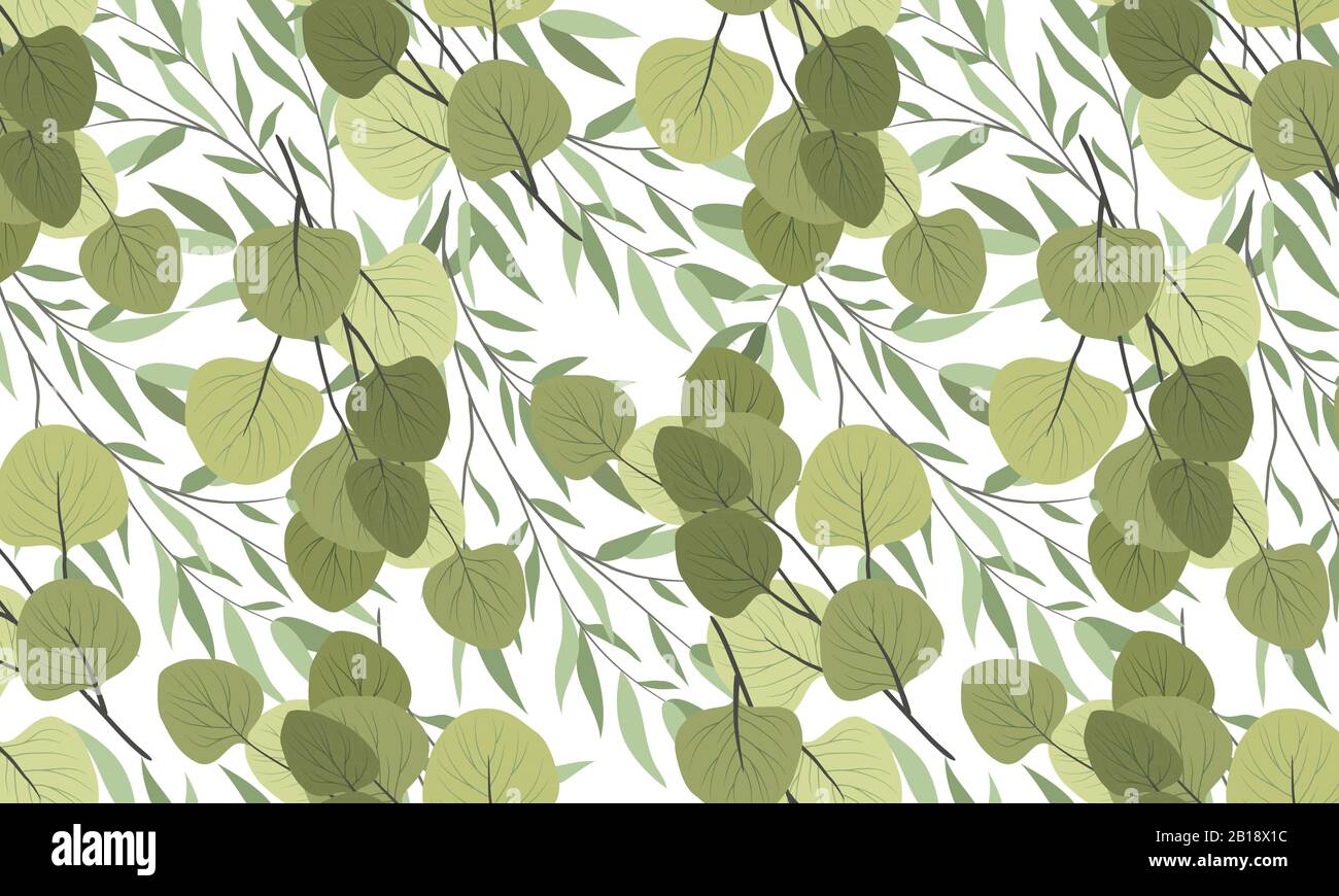 Seamless horizontal pattern with branches of a willow and eucalyptus on a white background ...