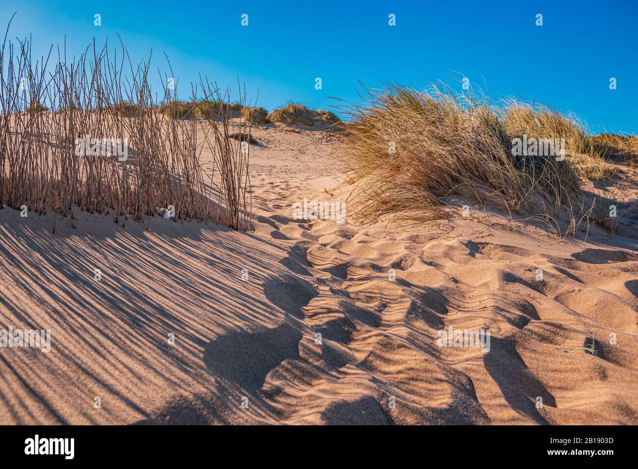 Praia do guincho surfing hi-res stock photography and images - Alamy