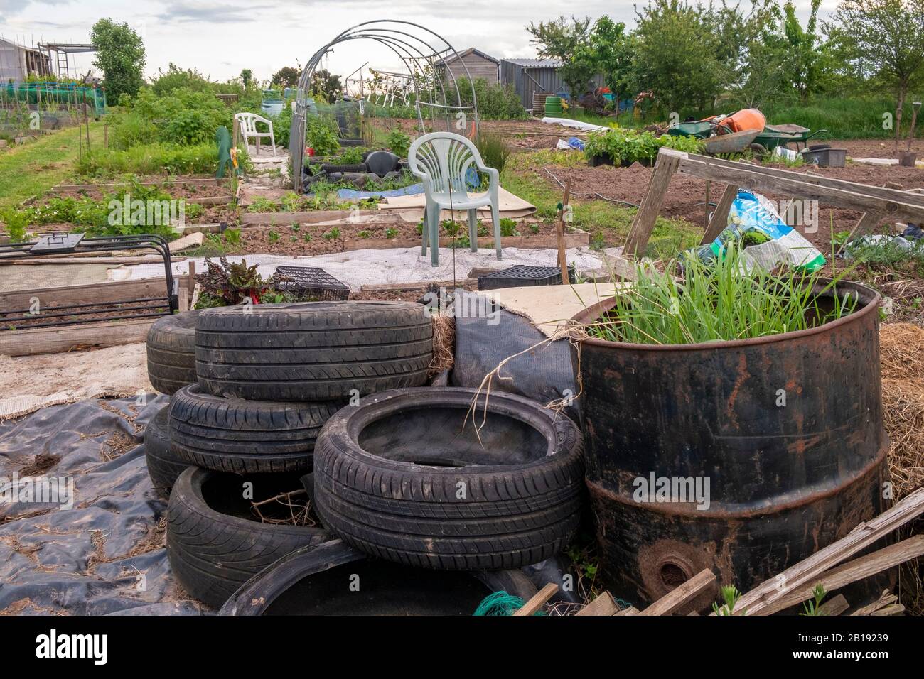 Untidy allotment with old car tyres and oil drums Stock Photo - Alamy