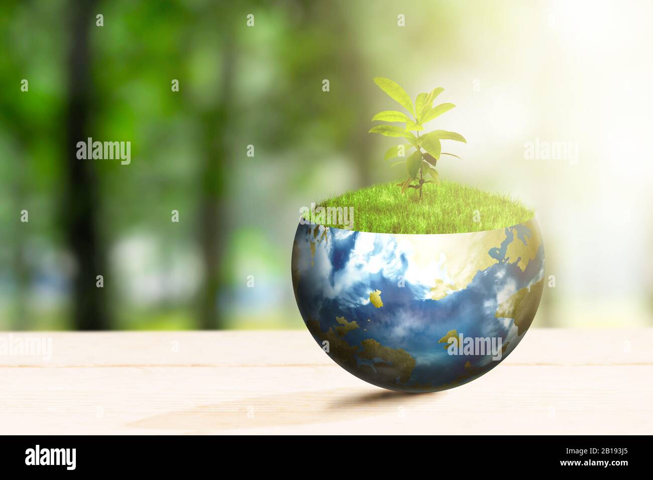 Earth with growing plants above it on a wooden table. Earth day concept ...
