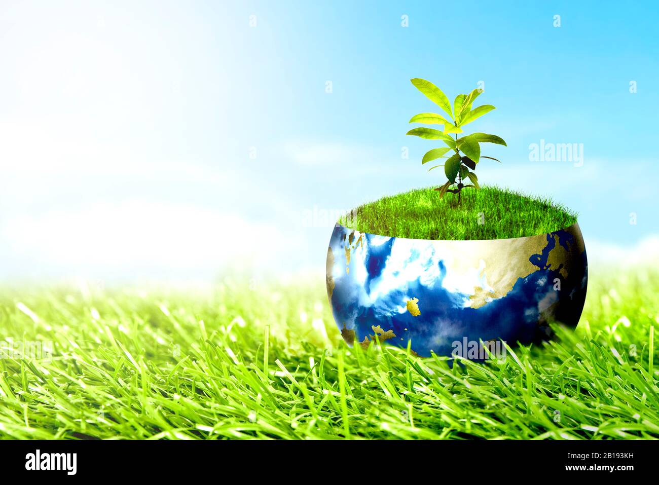 Earth with growing plants above it on the meadow with a blue sky ...