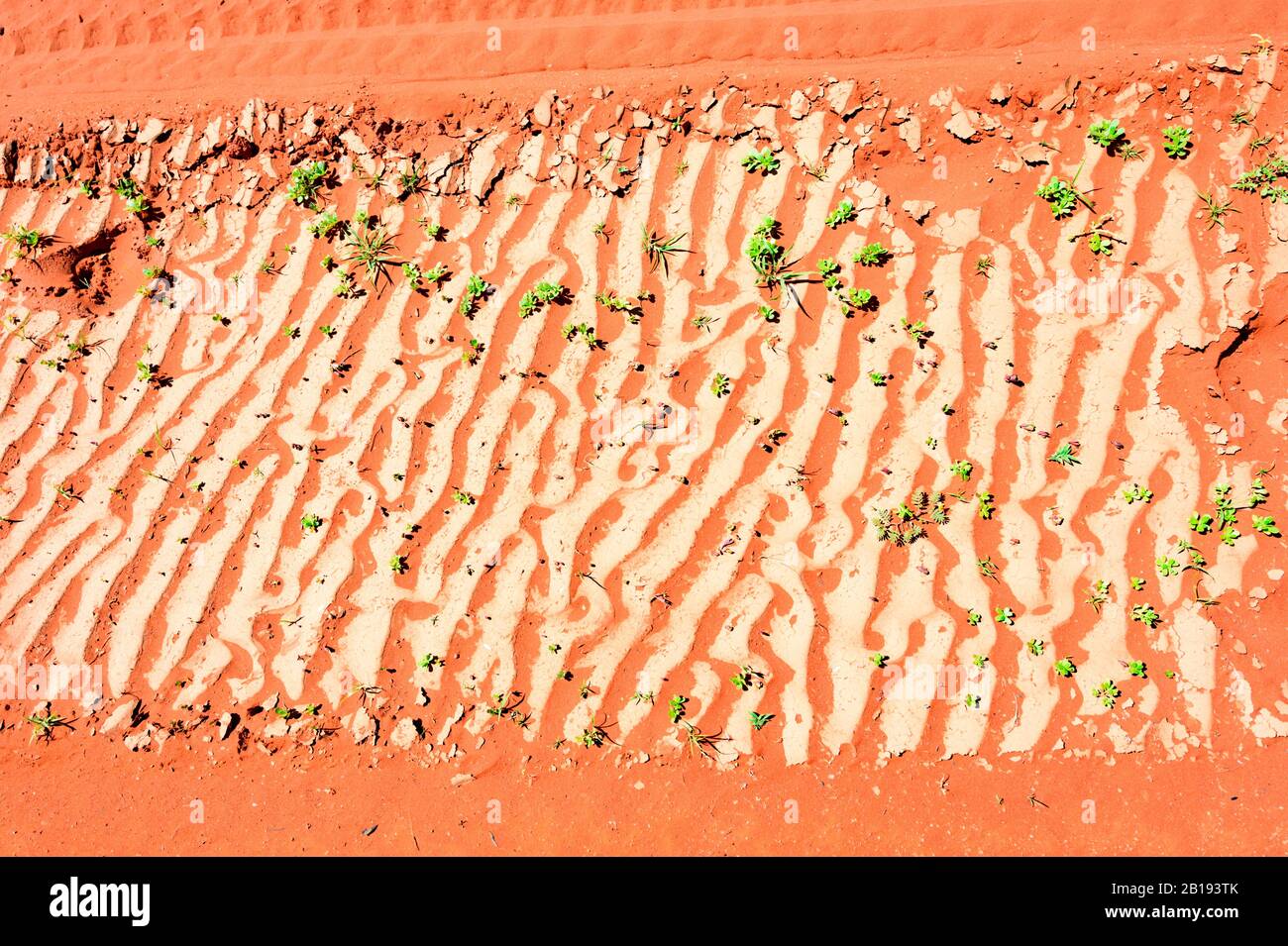 Patterns formed by drying mud on a red dirt road in the Australian ...