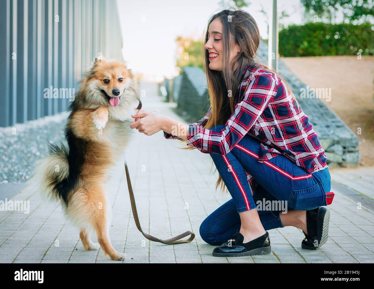 happy woman with dog standing up Stock Photo - Alamy