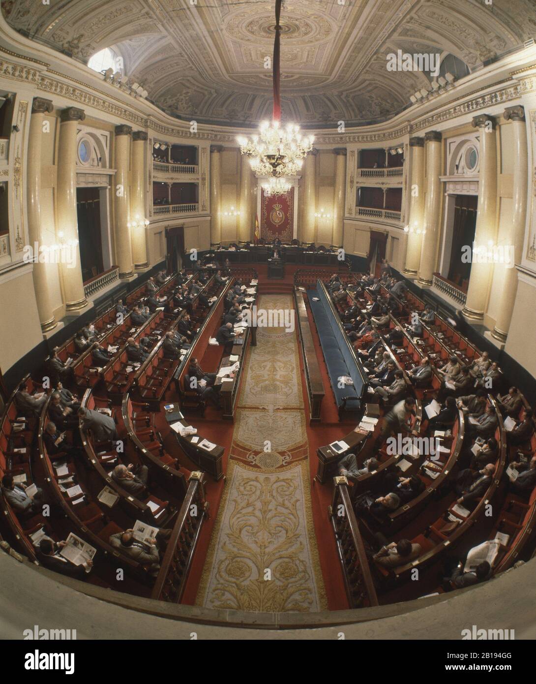 Senator fish hi-res stock photography and images - Alamy