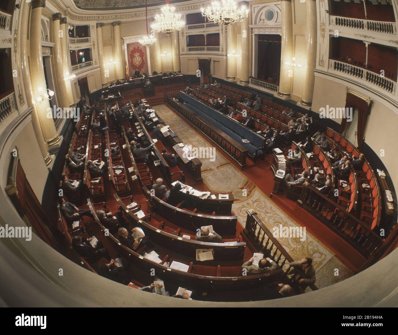 Senator fish hi-res stock photography and images - Alamy