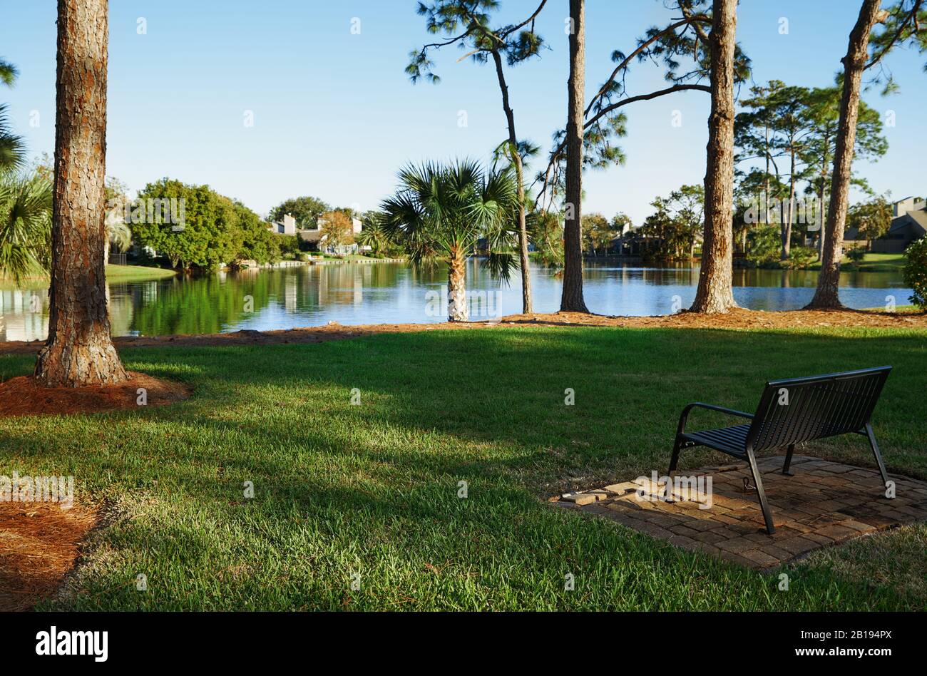 Public park with pond. Florida, USA Stock Photo - Alamy