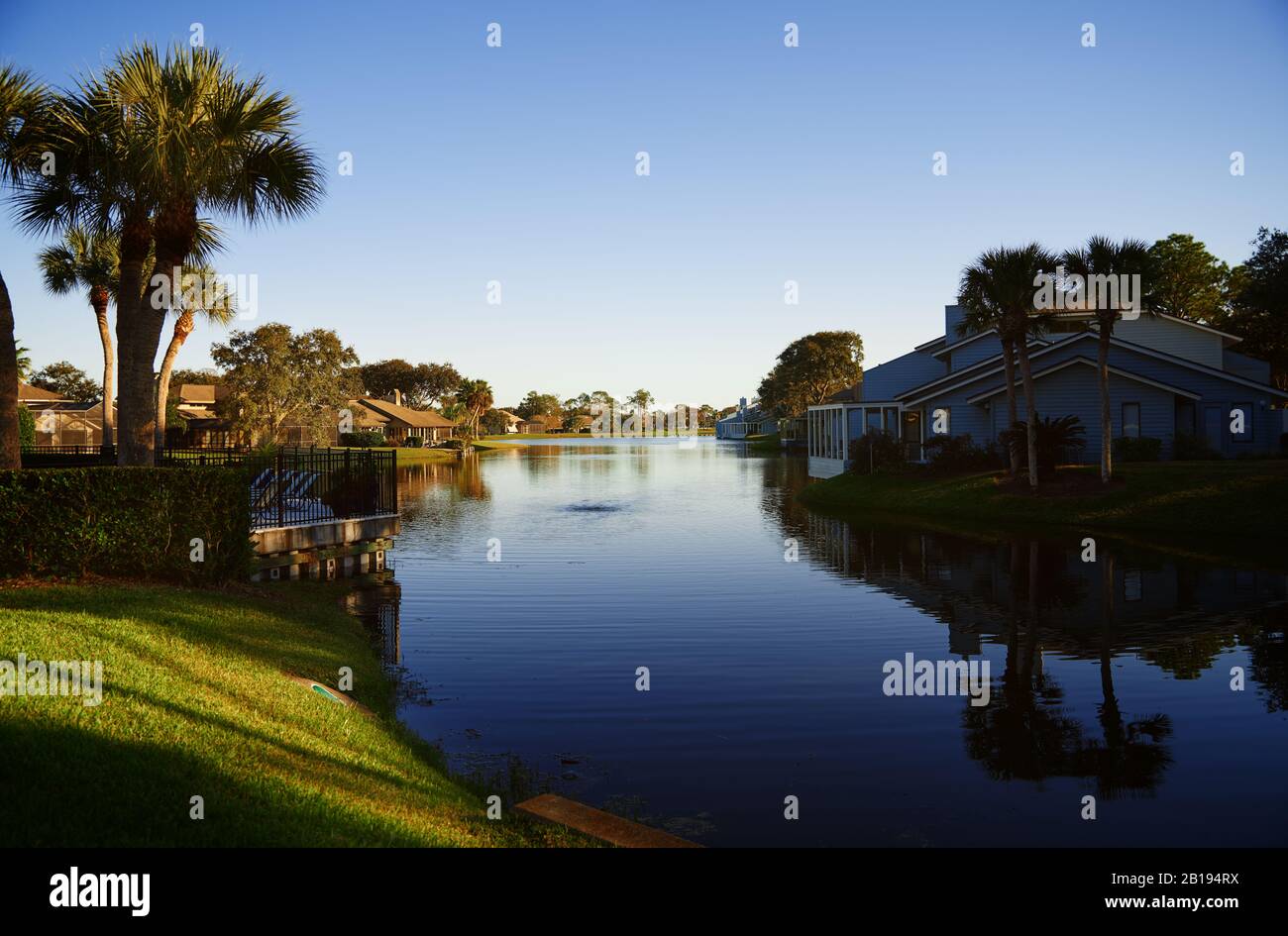 View on suburb district with pond and palm trees. Florida, USA Stock ...