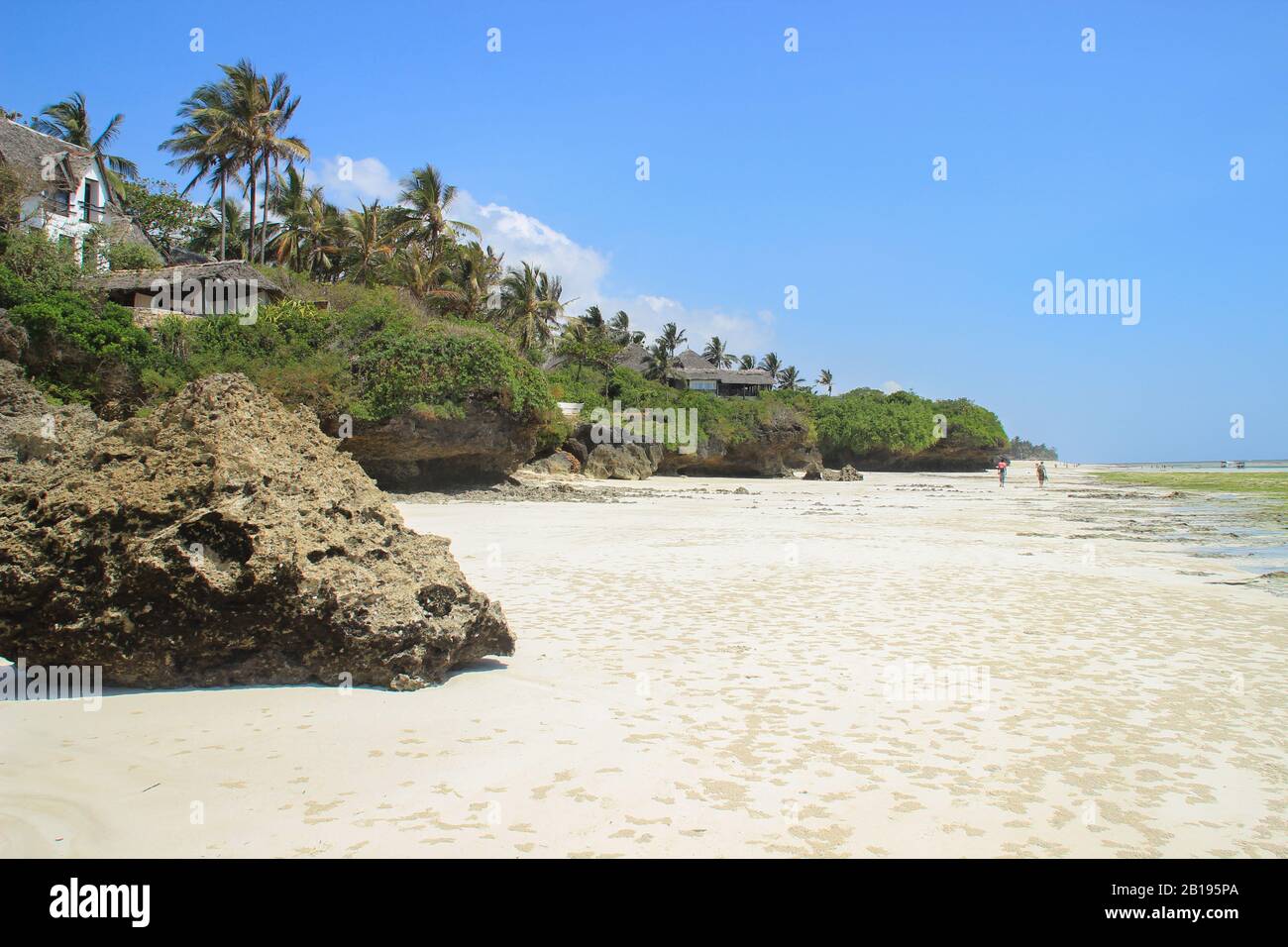 Coast of the Indian Ocean, low tide. White sand and palm trees, the ...