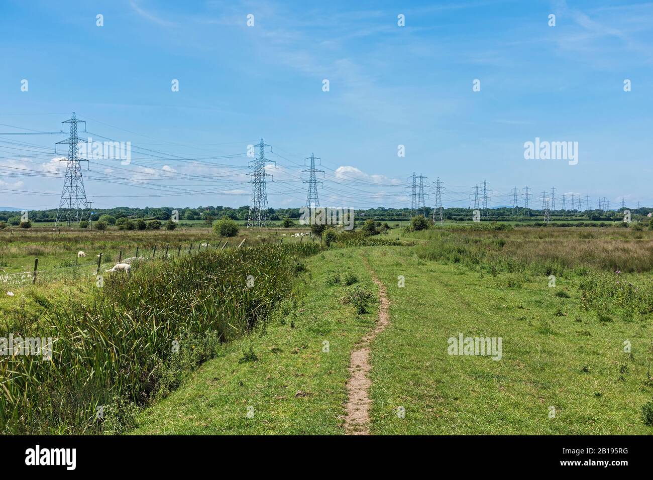 Gowy Meadows Cheshire Wildlife Trust reserve showing electricity pylons ...