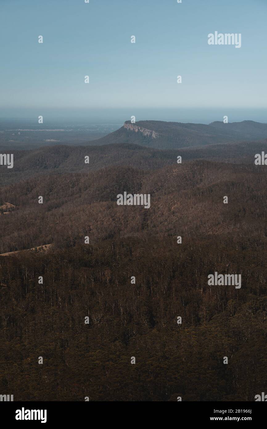 Bago Bluff as seen from the top of Mount Comboyne, New South Wales ...