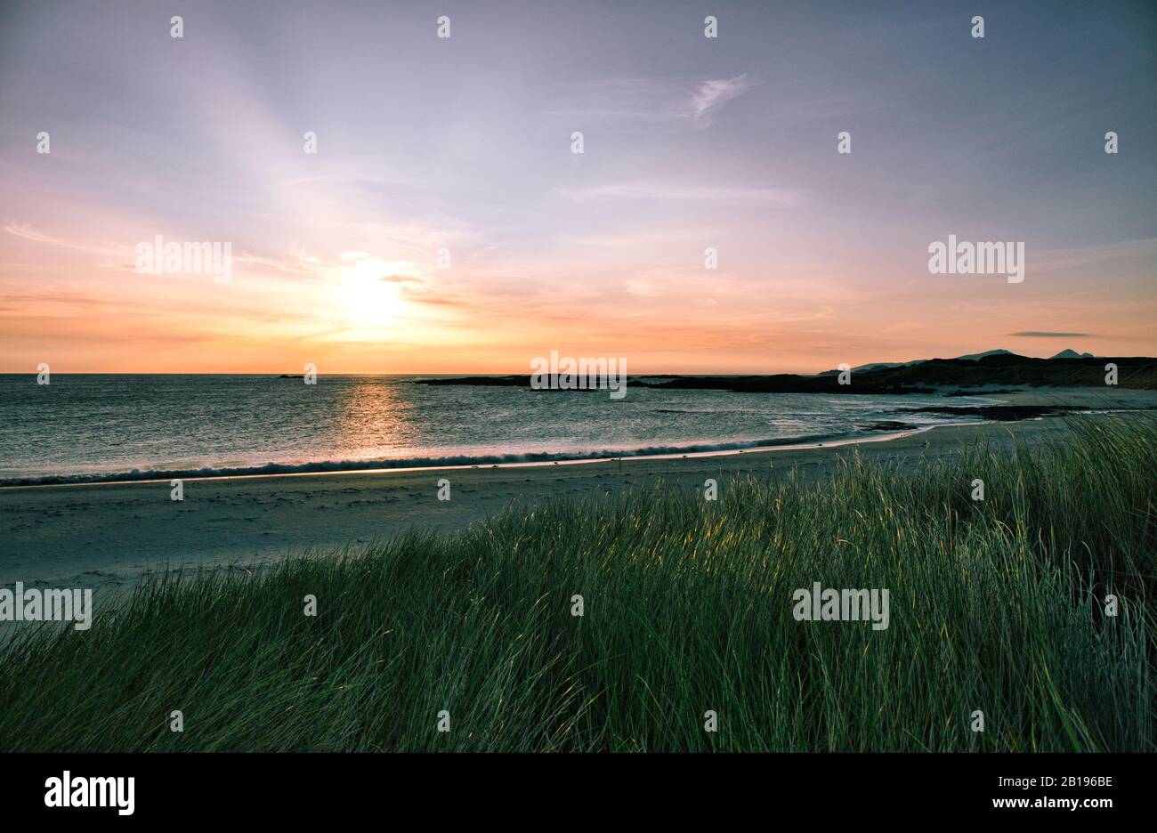 Machair grasses above Sanna Bay and the Atlantic Ocean at sunset ...