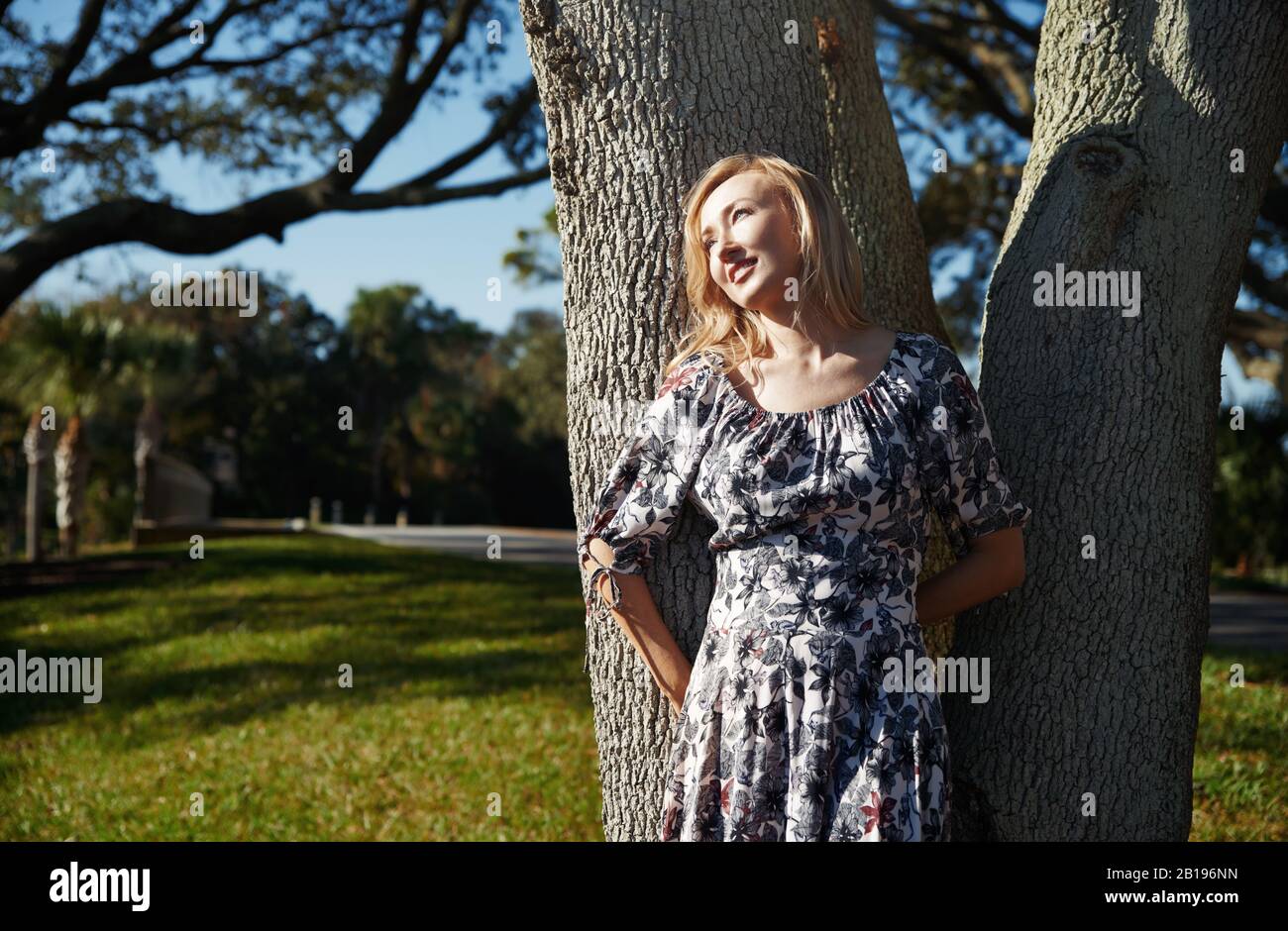 Beautiful woman leaning onto the oak tree Stock Photo - Alamy