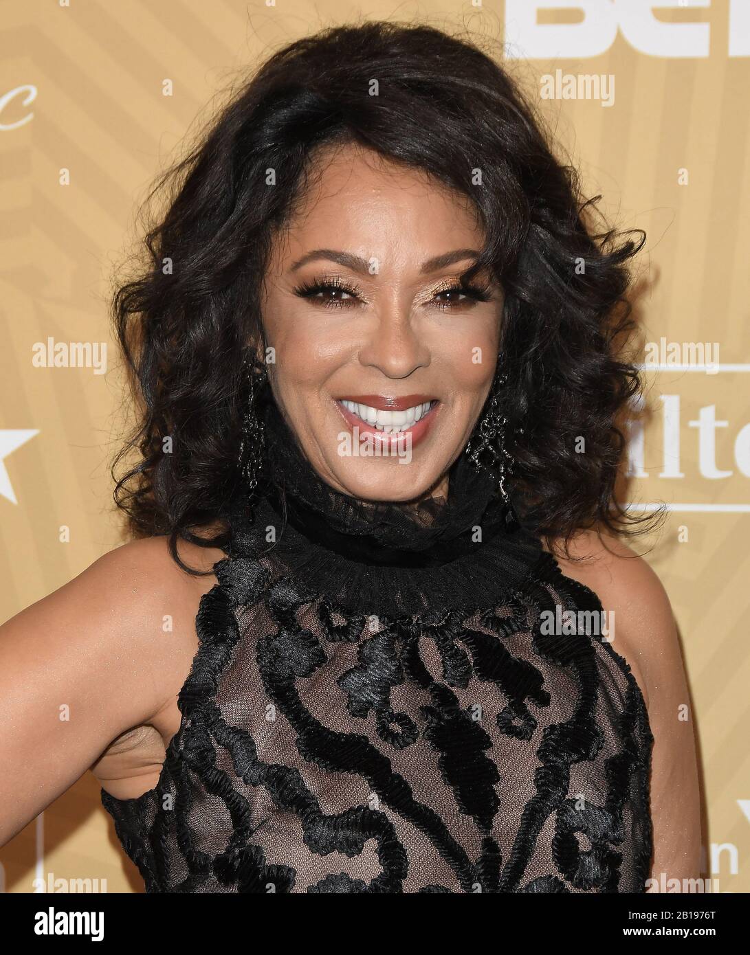 Debra Martin Chase arrives at the American Black Film Festival Honors ...
