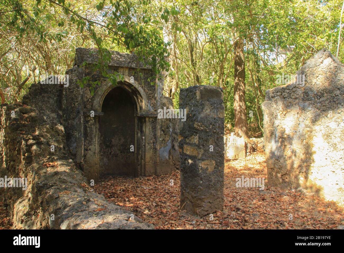 The ancient abandoned Arab city of Gede, near Malindi, Kenya. Classical ...