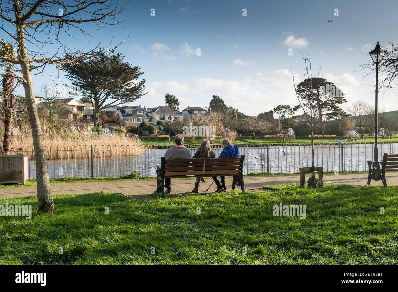 Bench overlooking boating lake hi-res stock photography and images - Alamy
