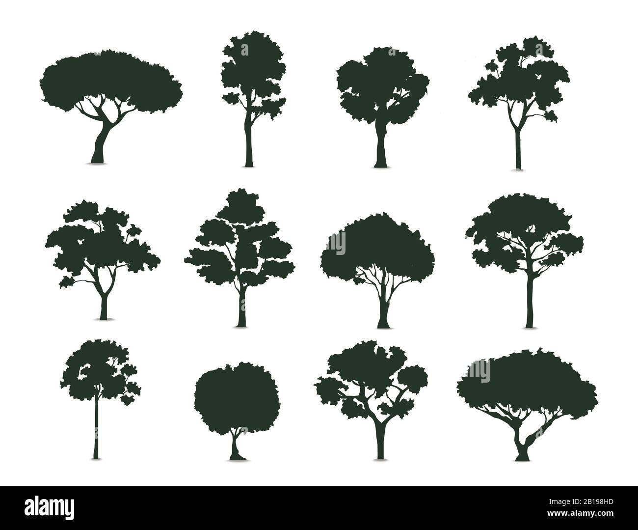 Set vector trees isolated Cut Out Stock Images & Pictures - Alamy