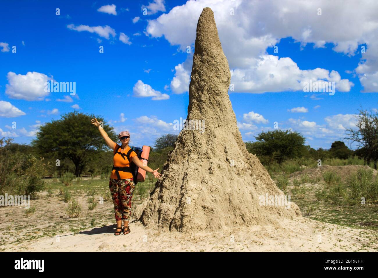 Termite Mound Africa