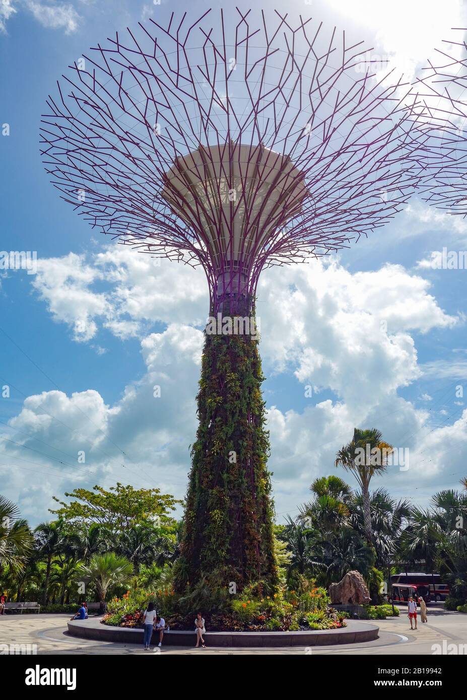 Singapur, Singapore. 01st Jan, 2020. Big Tree in Gardens by the Bay ...