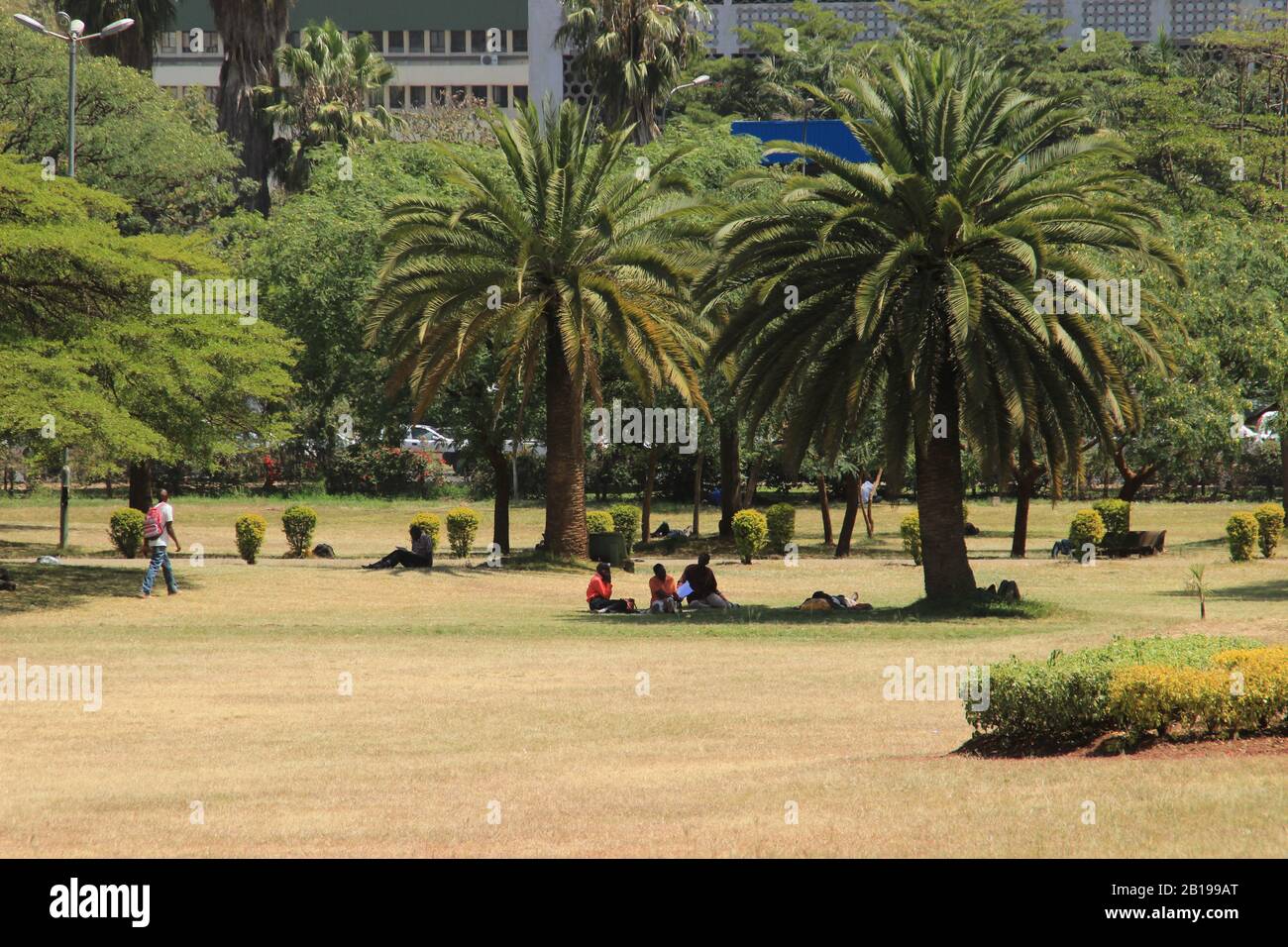 Nairobi, Kenya - January 17, 2015: a park with palm trees in the city ...