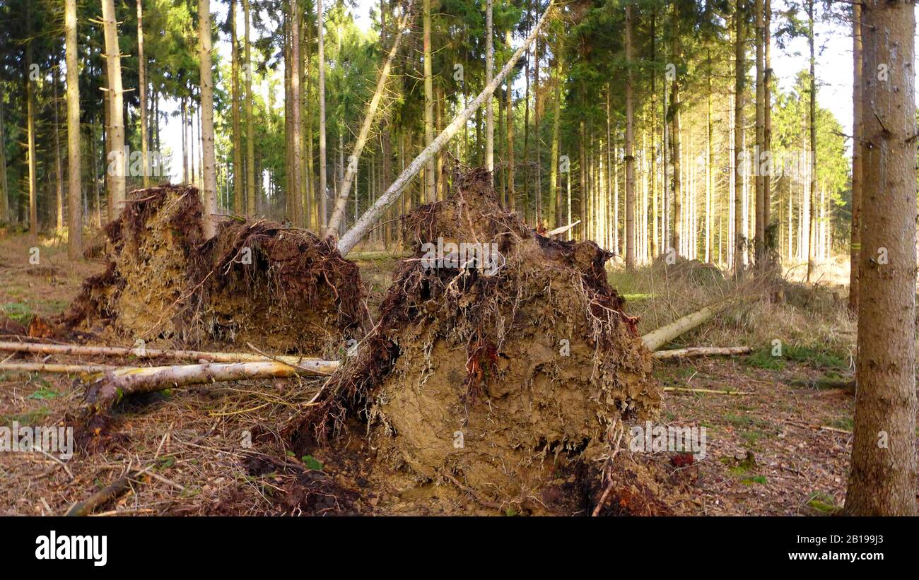 Shallow damages hi-res stock photography and images - Alamy