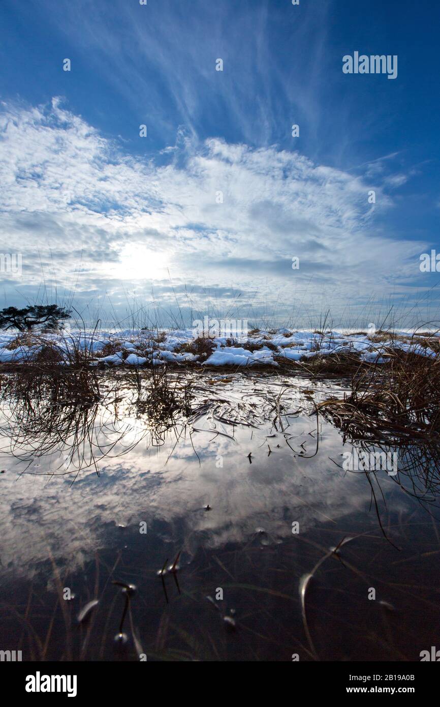 Mire formation hi-res stock photography and images - Alamy