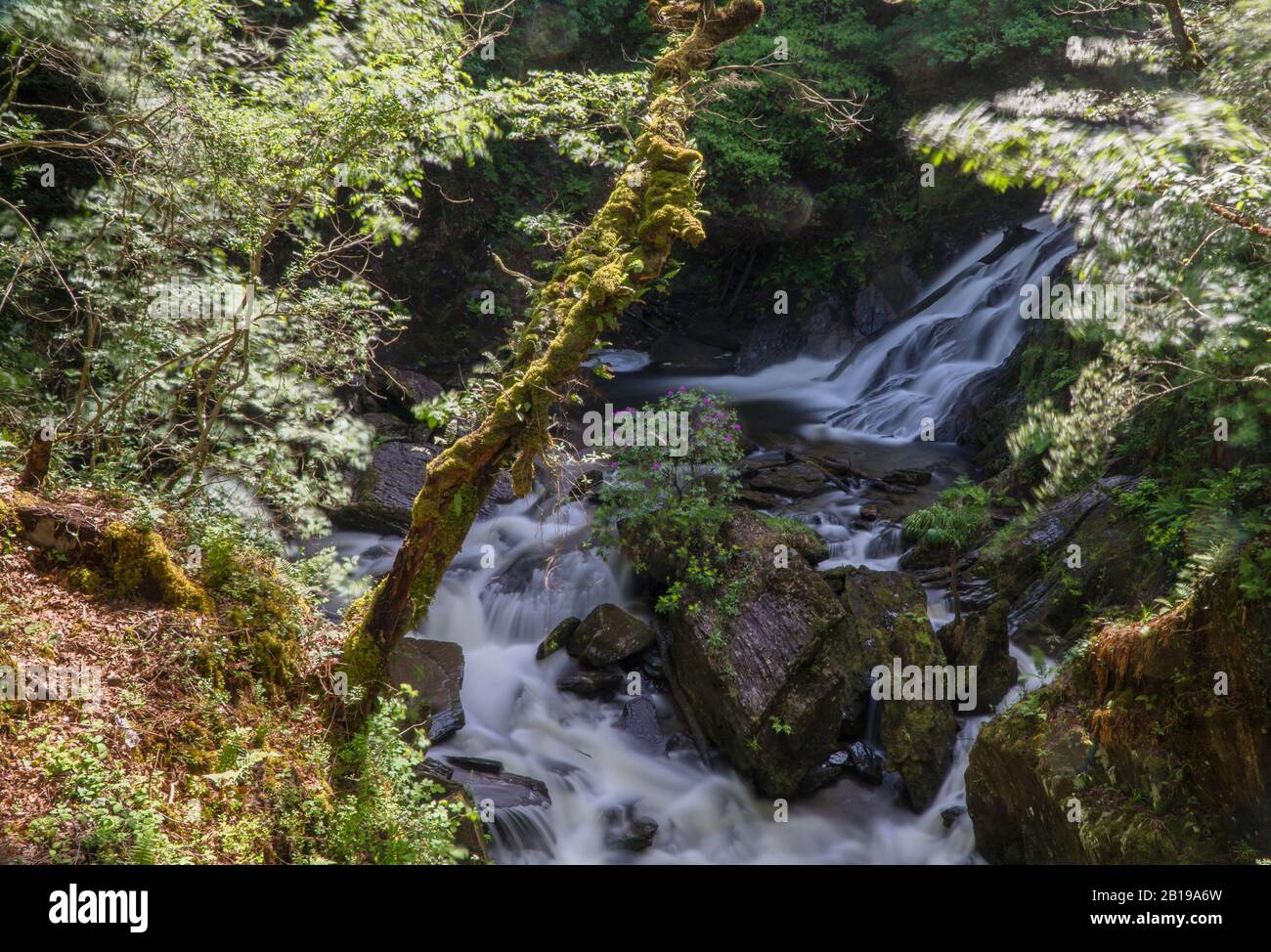 Devils bridge falls hi-res stock photography and images - Alamy