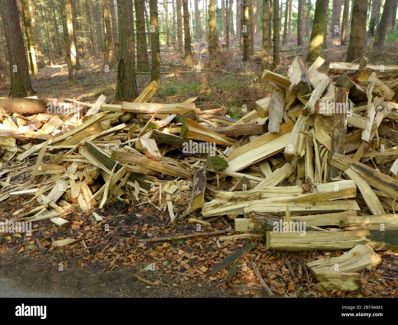 Primary production hi-res stock photography and images - Alamy