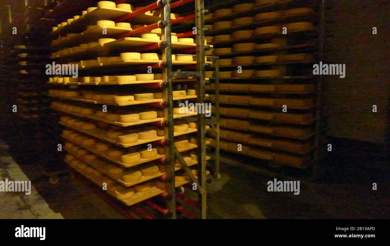 cheese storage in Allgaeu, Germany, Bavaria, Allgaeu Stock Photo - Alamy