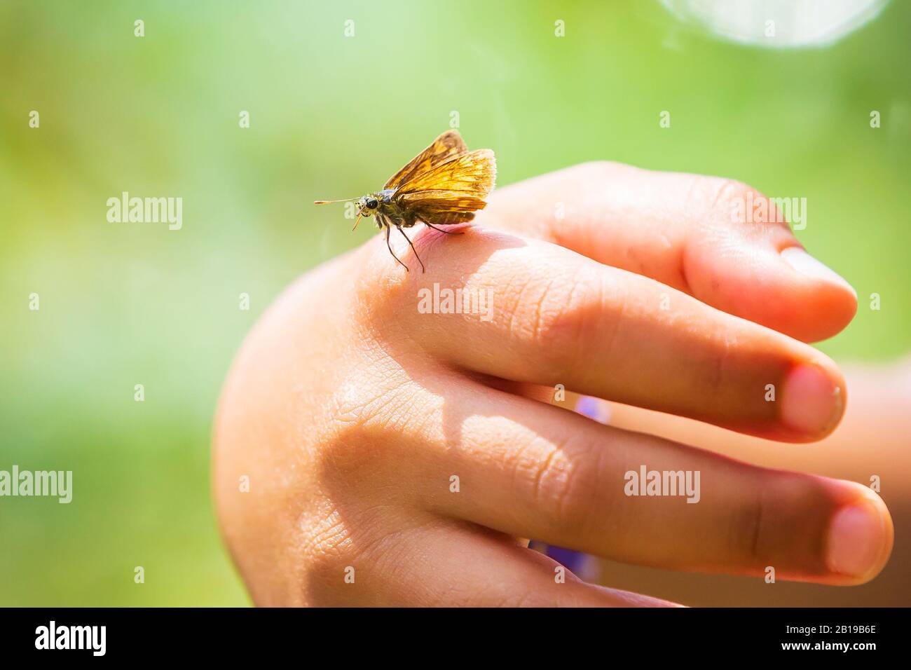 Human butterfly hi-res stock photography and images - Alamy