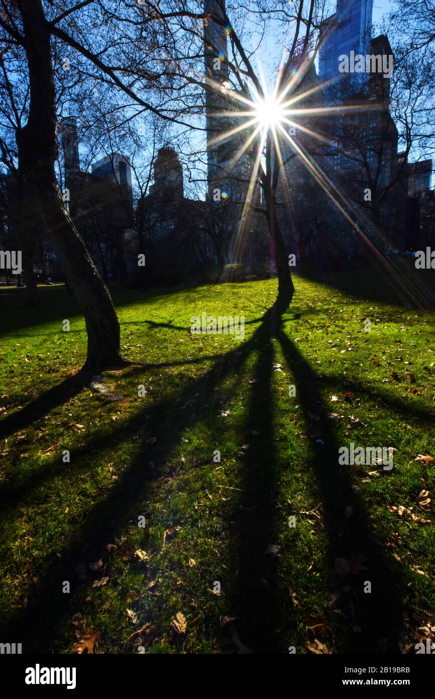 Beautiful winter day in Central Park, one of the most visited tourist ...