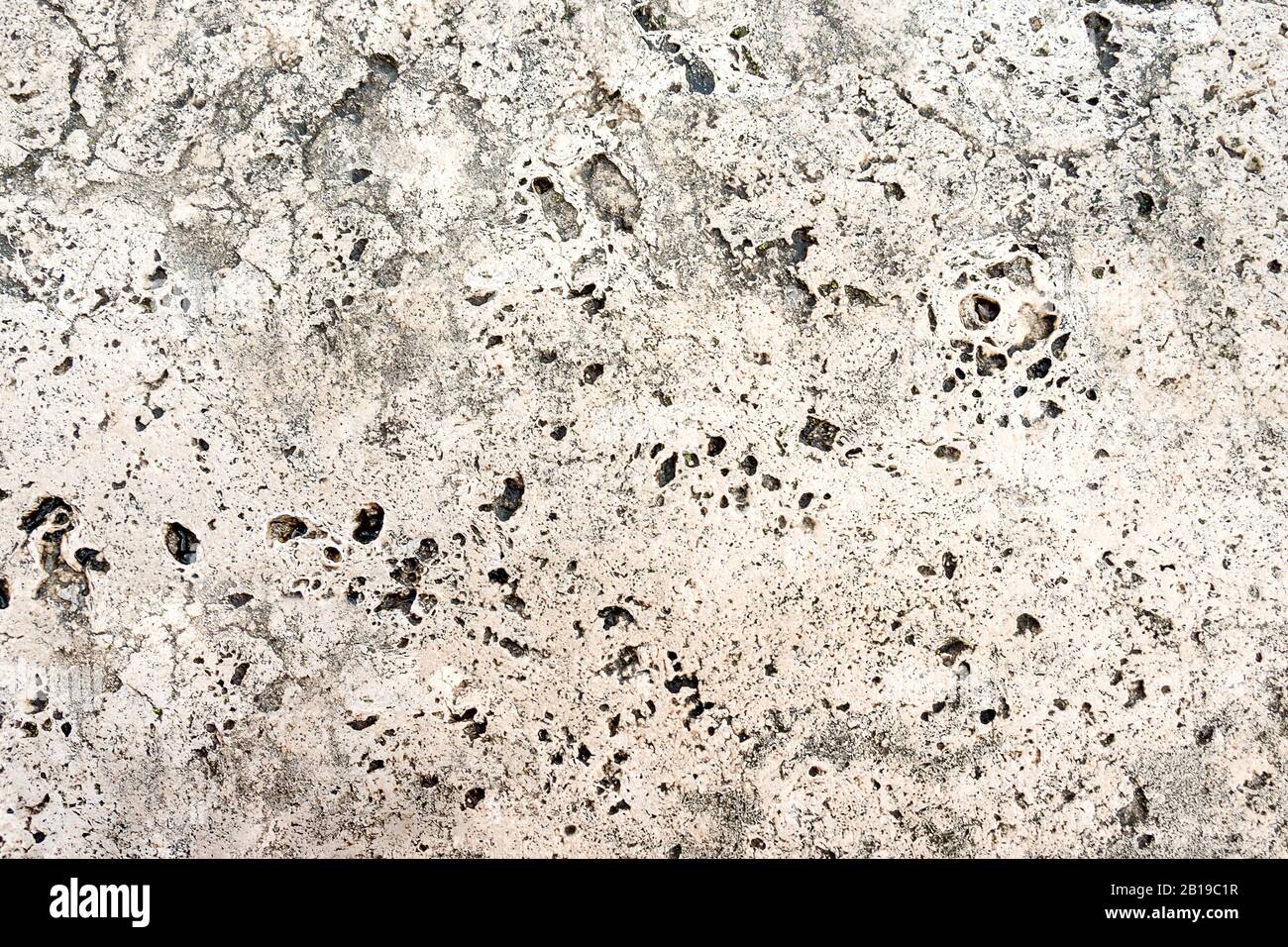 Shell fossil stone building hi-res stock photography and images - Alamy