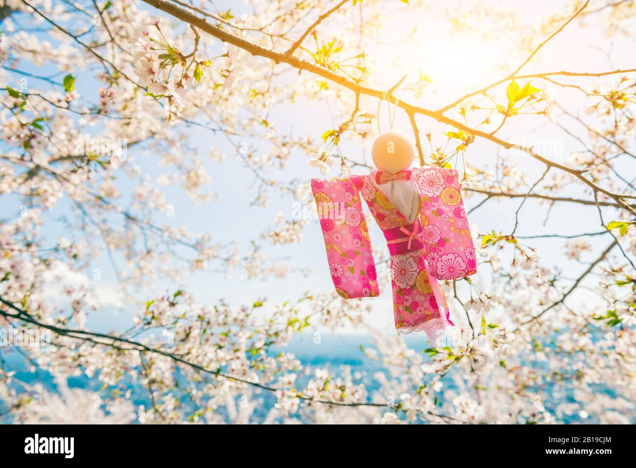 Teru Teru Bozu. Japanese Rain Doll hanging on Sakura tree to pray for ...