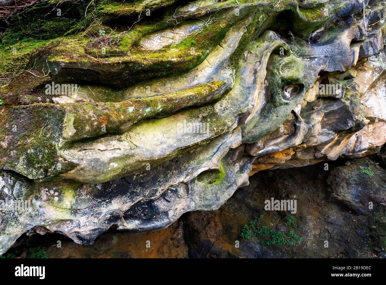 A monster head shape Stock Photo - Alamy