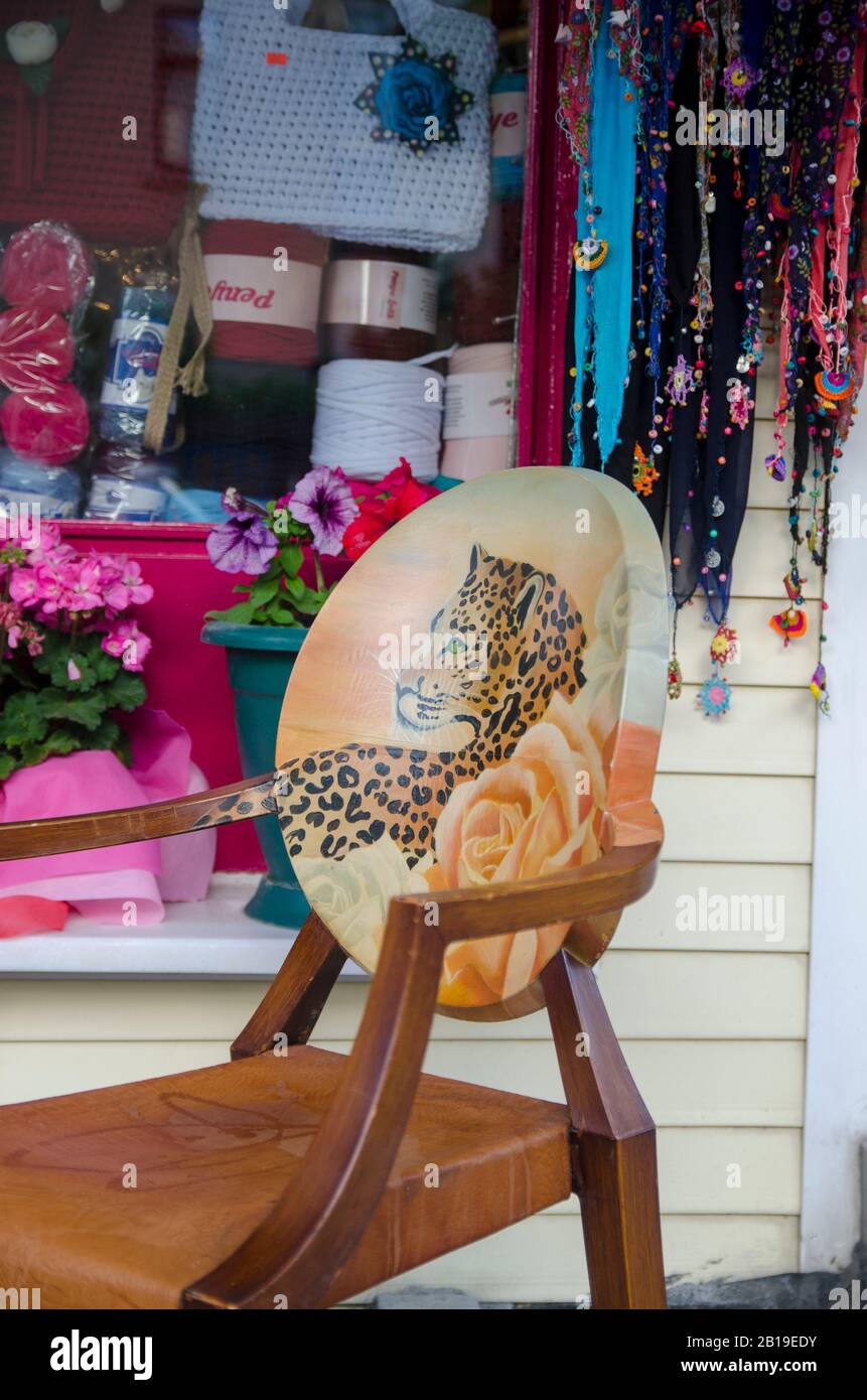 Chair with Cheetah Stock Photo - Alamy