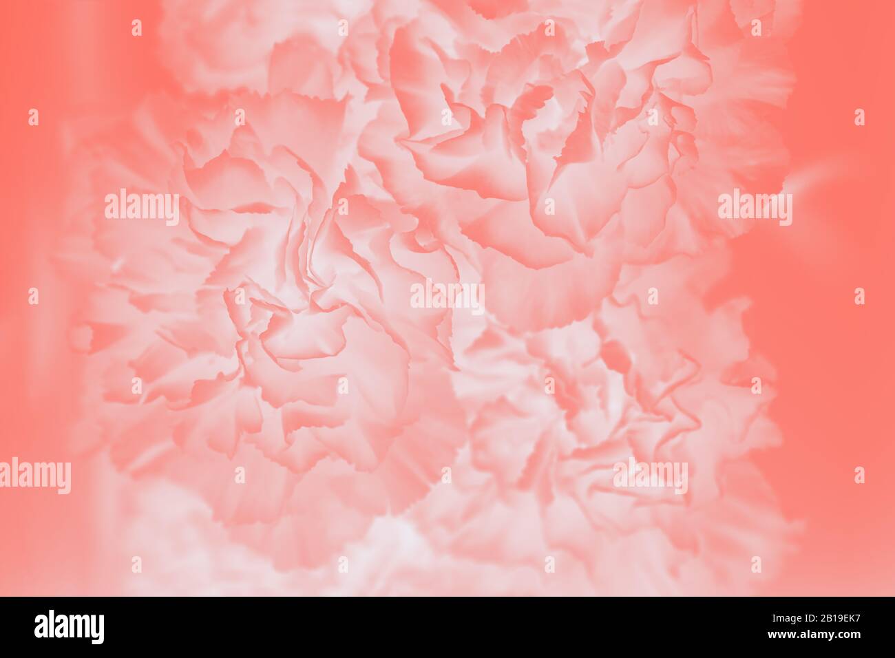 Coral color abstract background. Floral gradient background, delicate ...