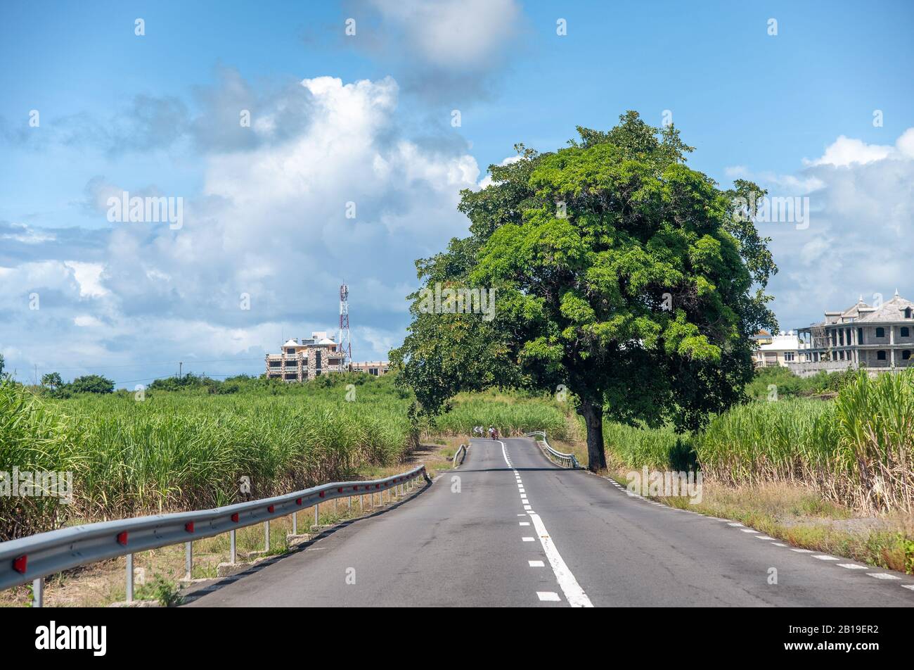 Road across Mauritius landscape Stock Photo - Alamy