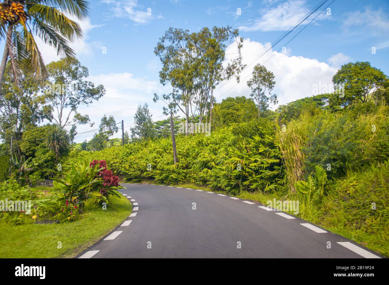 Beautiful road of Mauritius countryside Stock Photo - Alamy