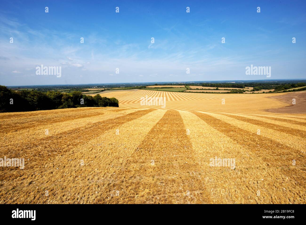 Harvest crops fields hi-res stock photography and images - Alamy