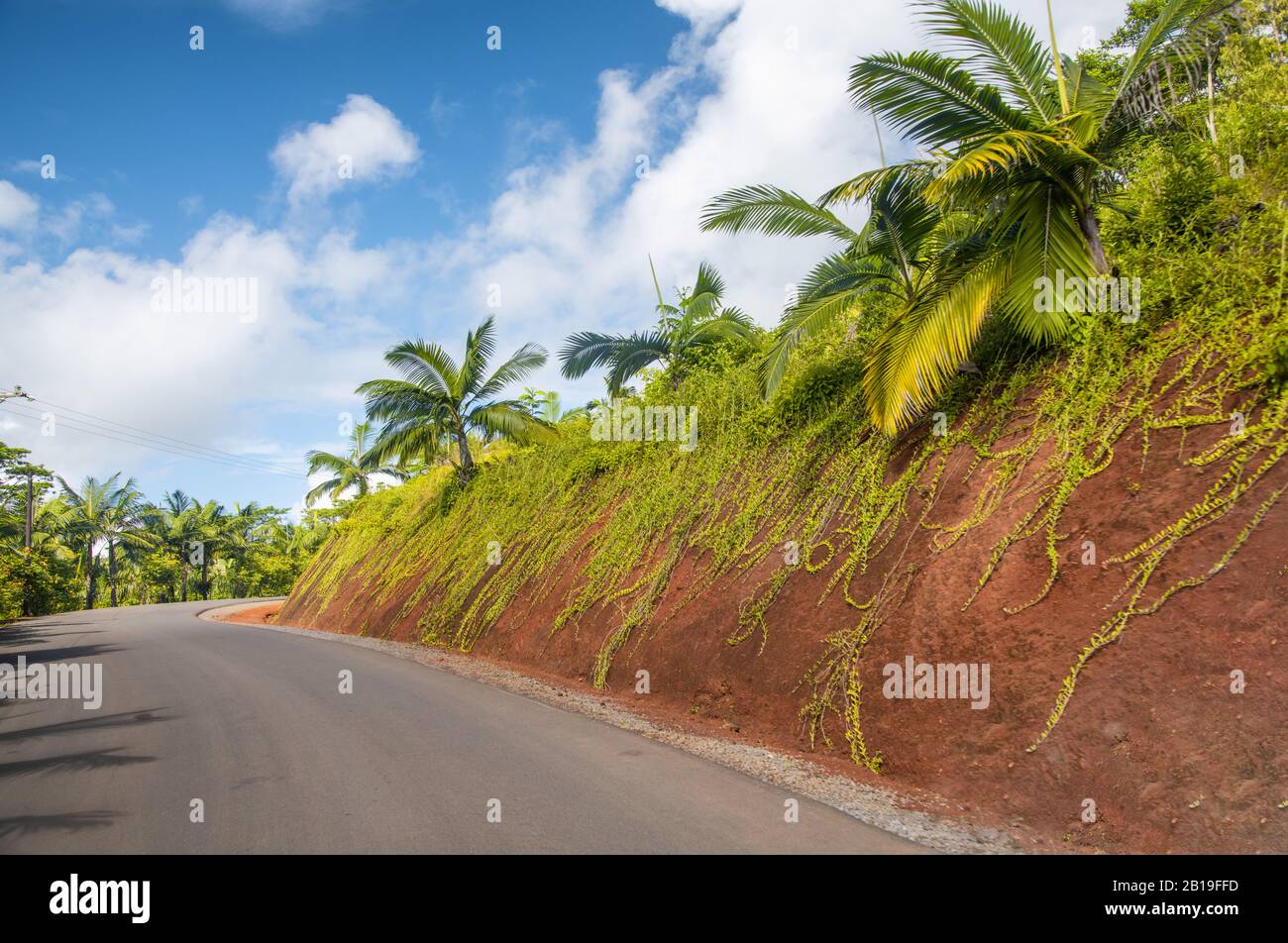 Beautiful road of Mauritius countryside Stock Photo - Alamy