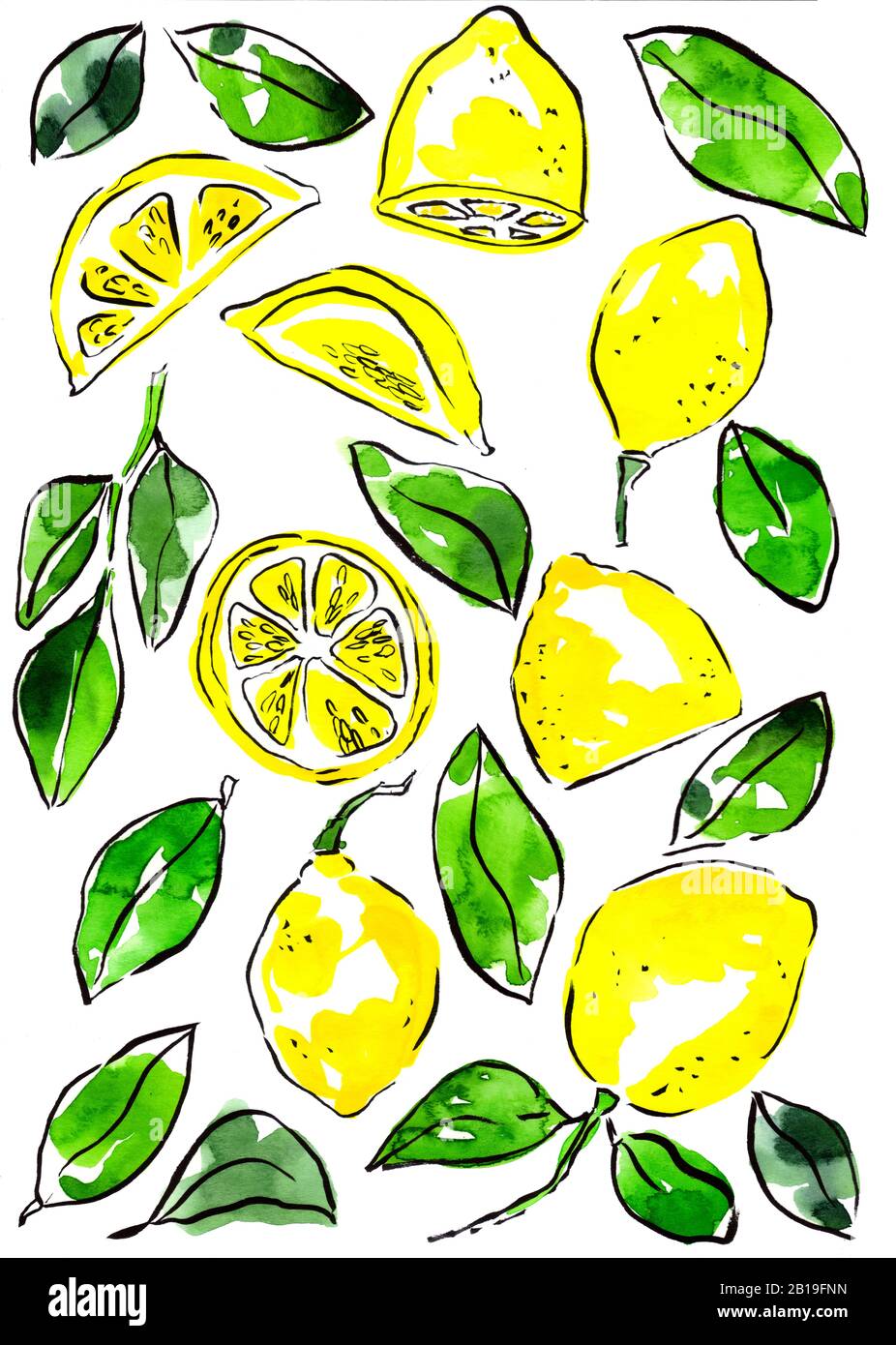 Set of drawn lemons, watercolor art, green and yellow. Drawn fruits ...