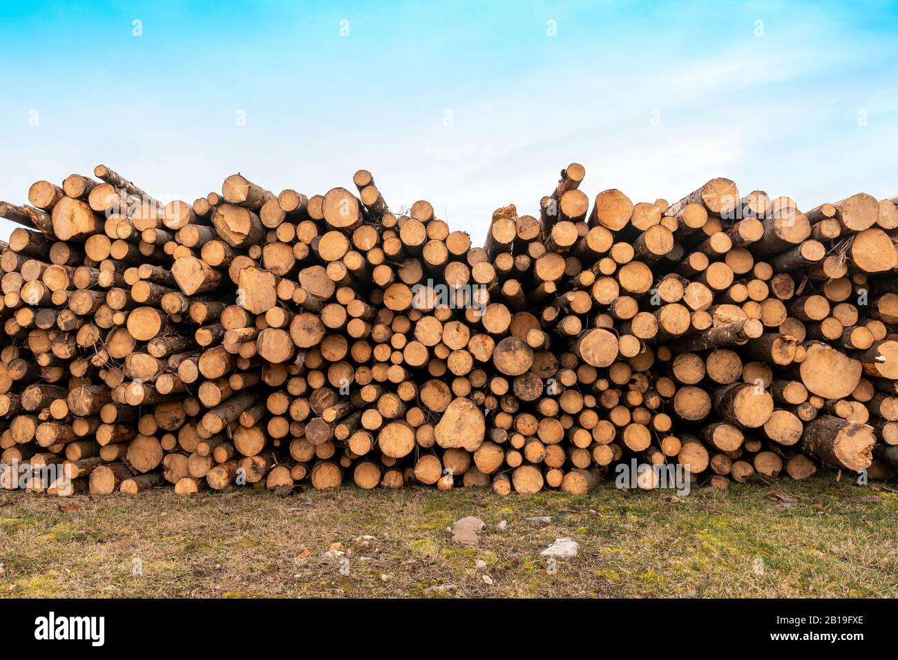 Freshly piled logs hi-res stock photography and images - Alamy
