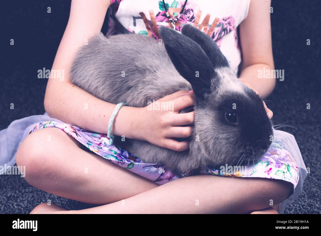 A Lop Rabbit With A Little Girl Stock Photo - Alamy
